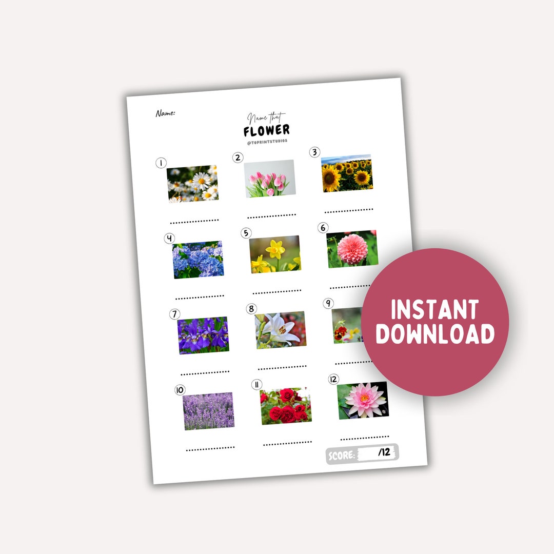 Guess the Flower Quiz: Printable Picture Game (PDF) - Etsy