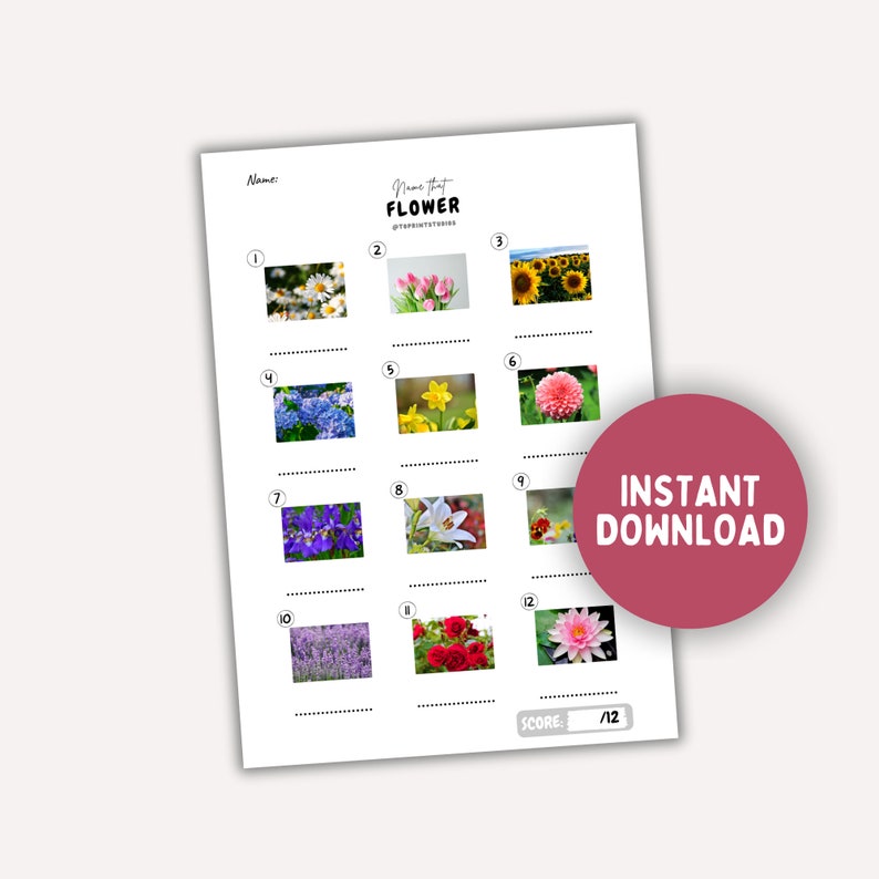 Guess the Flower Quiz: Printable Picture Game (PDF) - Etsy