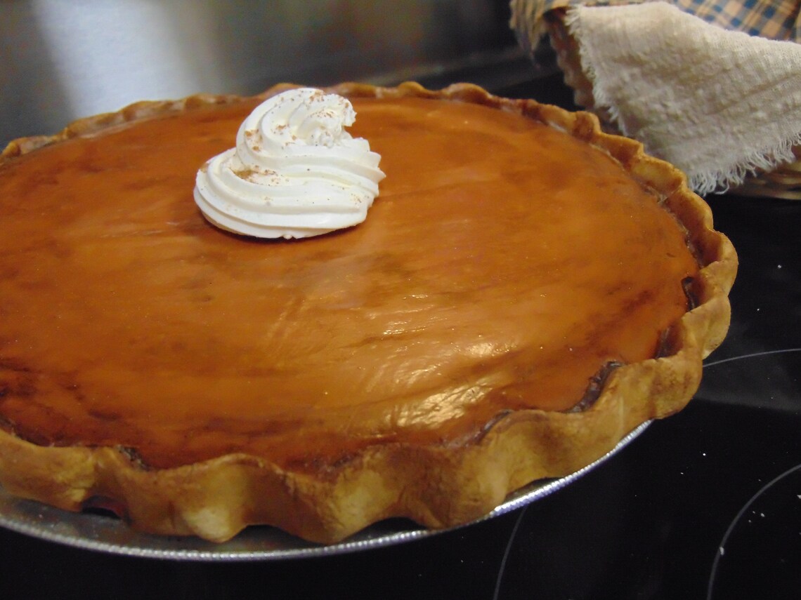 FAKE 9-inch Pumpkin Pie - Etsy