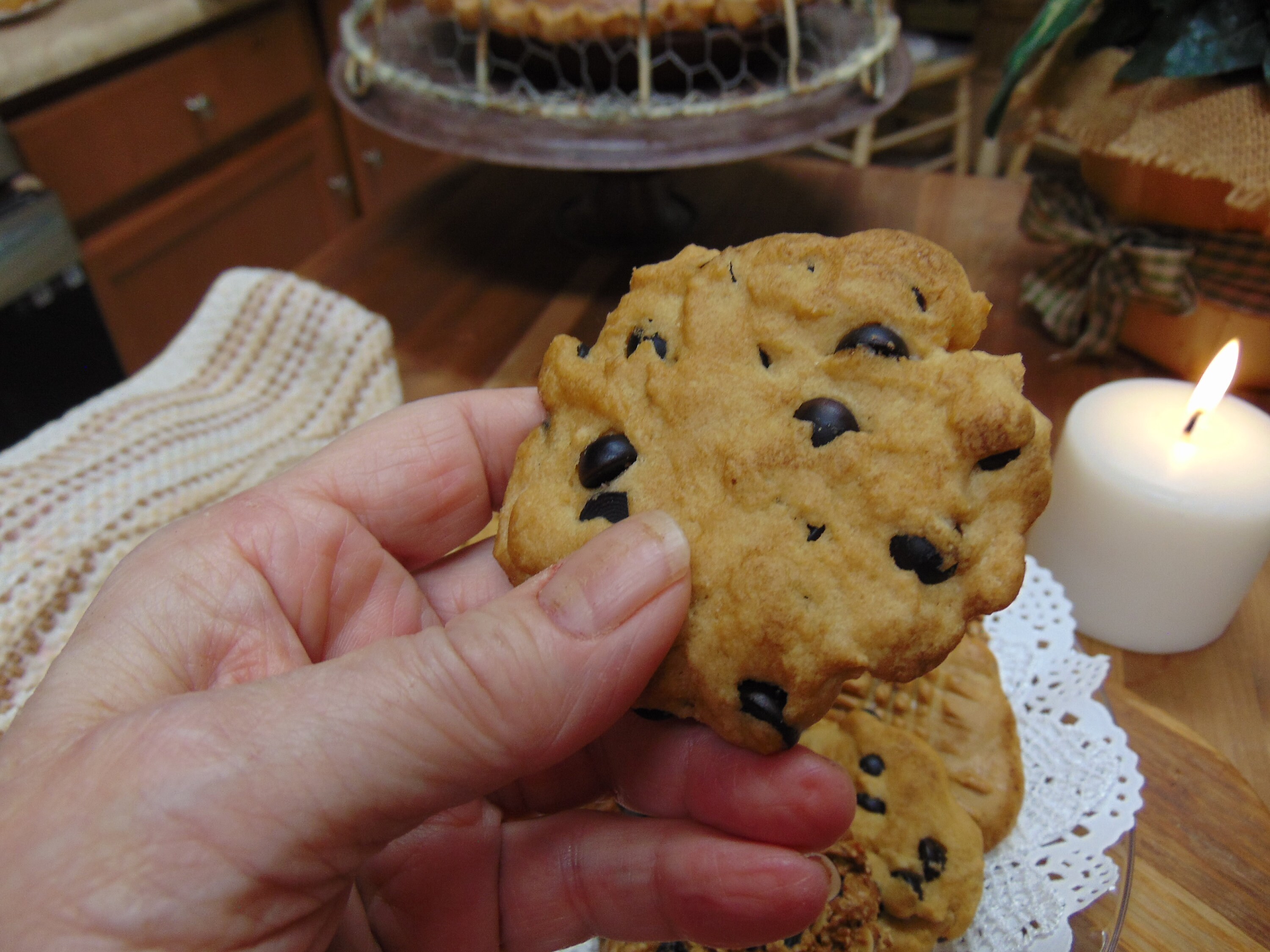 FAKE Assorted COOKIES (one Dozen) - Etsy