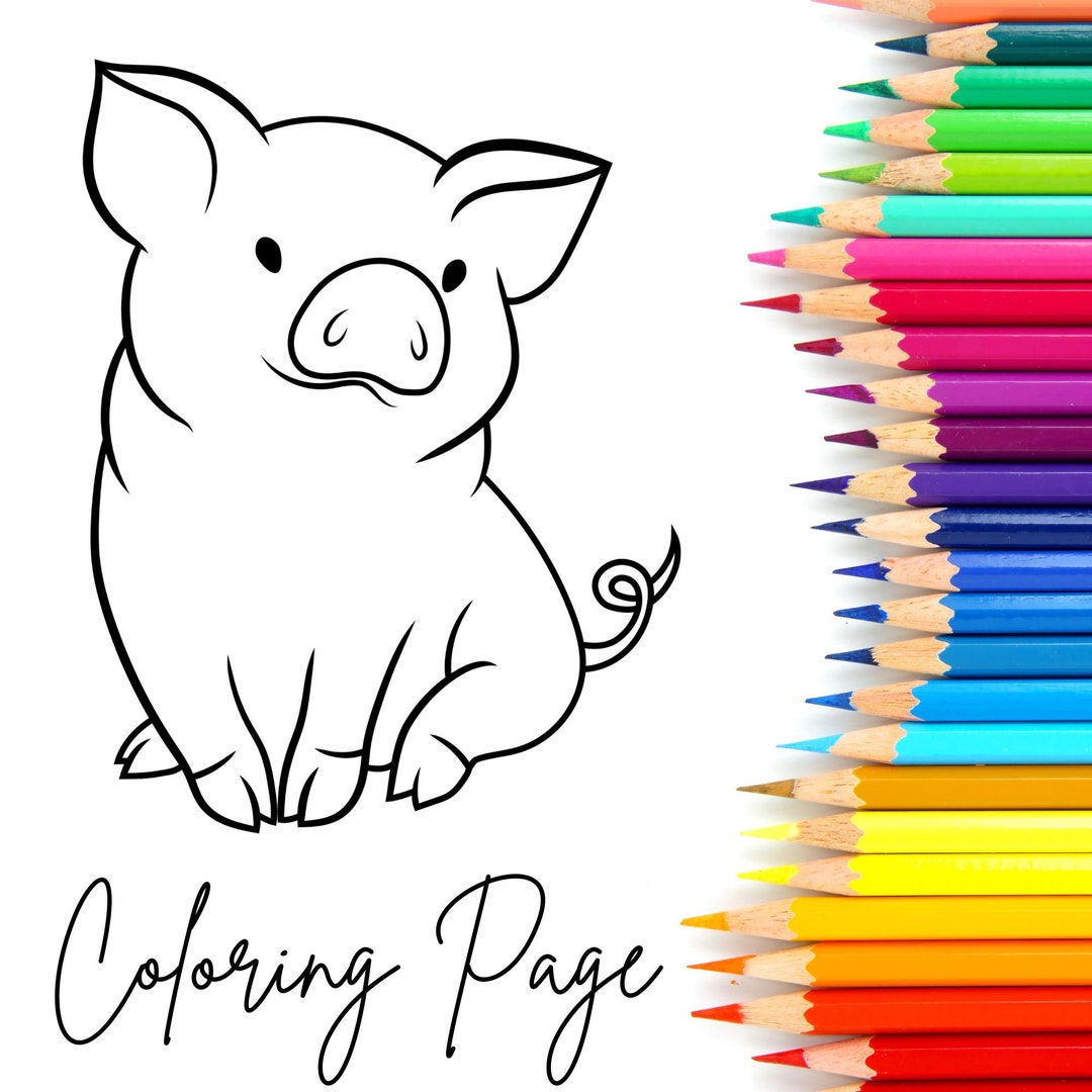 Pig Coloring Page Homeschool Toddler Farm Colors Activity Printable ...