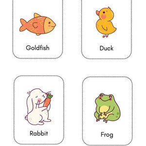 3-in-1 Printable Flashcards (8 Animals) + Coloring Book + Video - Etsy