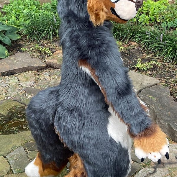 Full Fursuit - Etsy