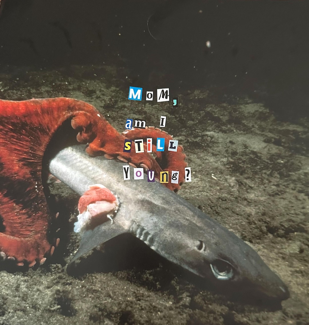 PREORDER Mitski Lyric Sticker - Etsy