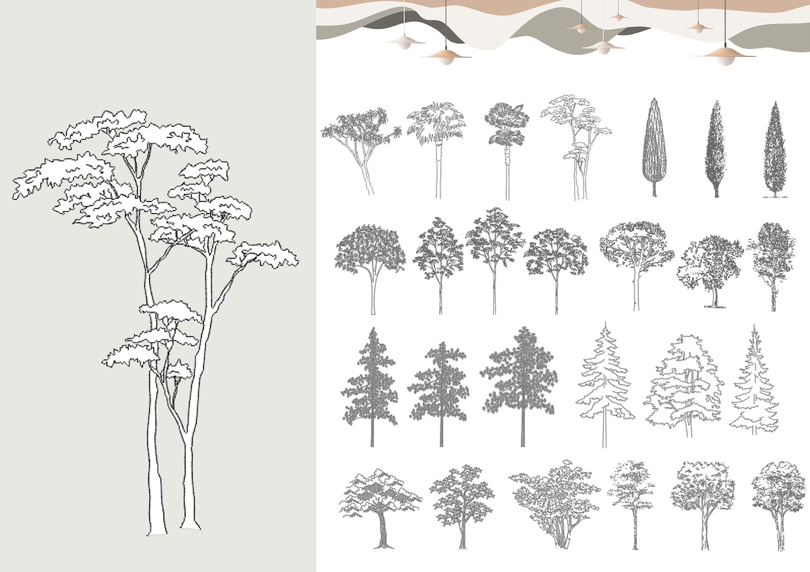 Autocad, DWG - 2D View and Plan 100 Trees, Made Blocks - Etsy