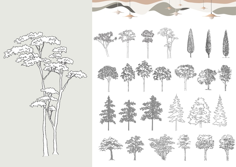 Autocad, DWG - 2D View and Plan 100 Trees, Made Blocks - Etsy