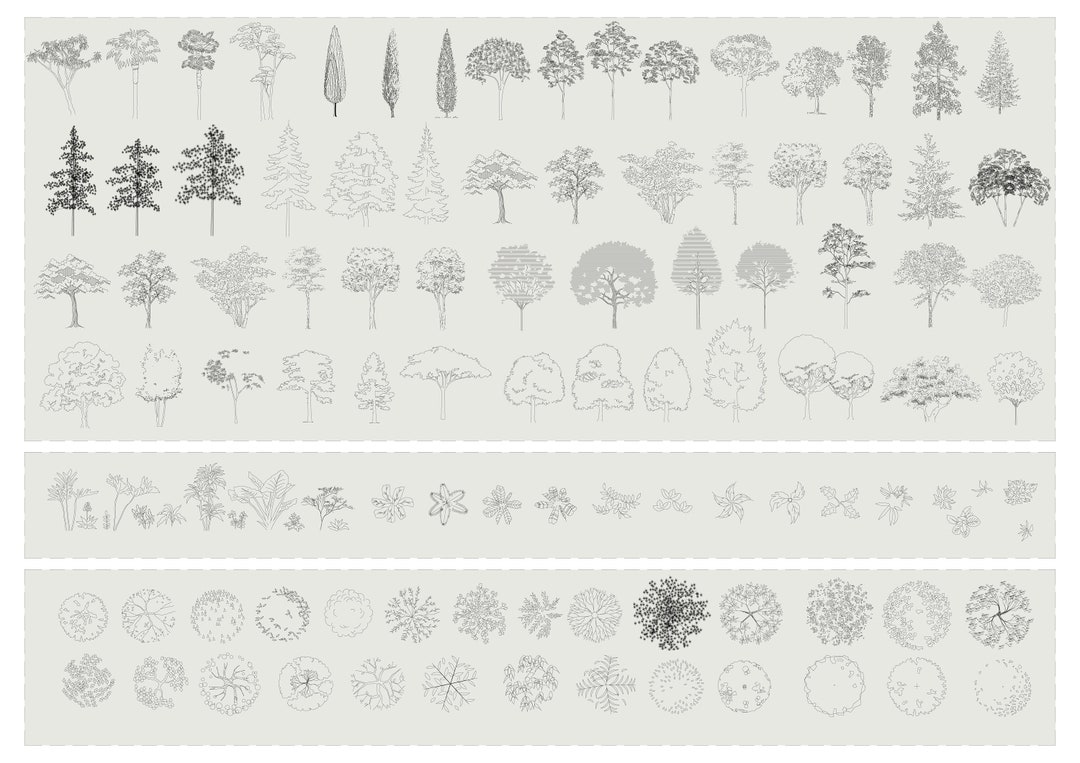 Autocad, DWG - 2D View and Plan 100 Trees, Made Blocks - Etsy