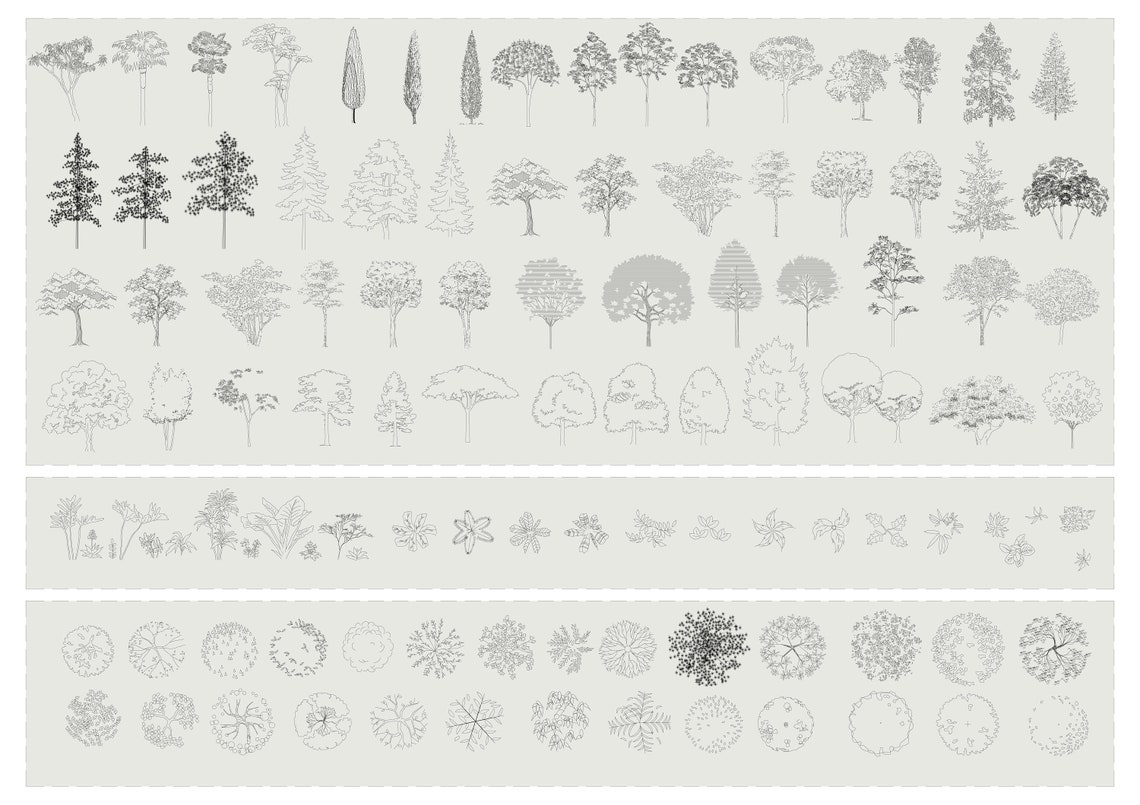 Autocad, DWG - 2D View and Plan 100 Trees, Made Blocks - Etsy