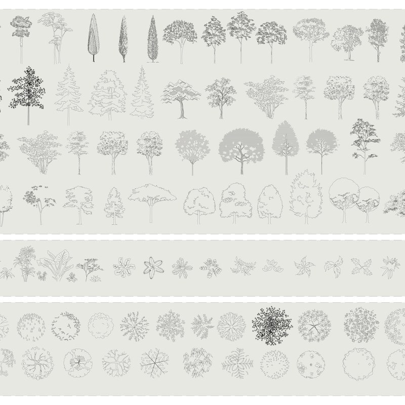 Trees in Plan Vector - Etsy