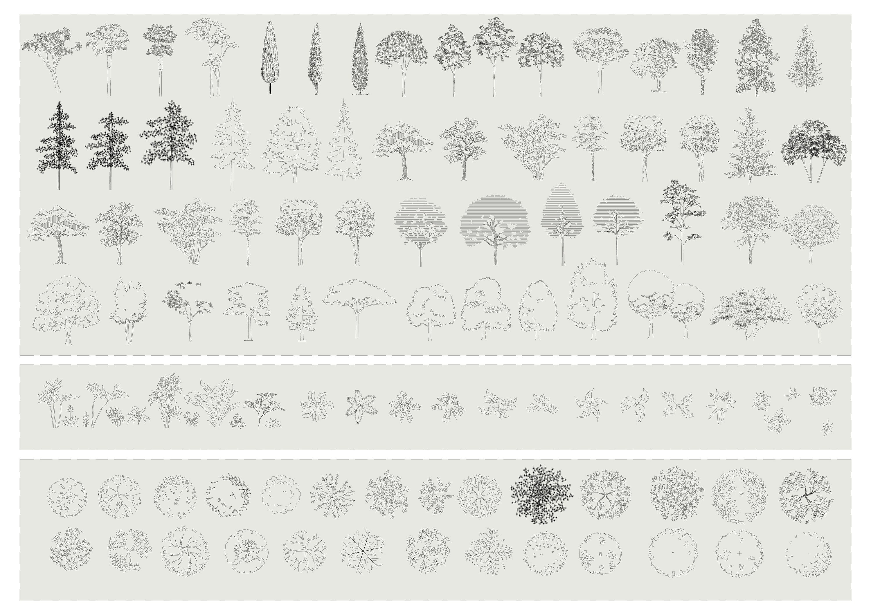 Autocad, DWG - 2D View and Plan 100 Trees, Made Blocks - Etsy