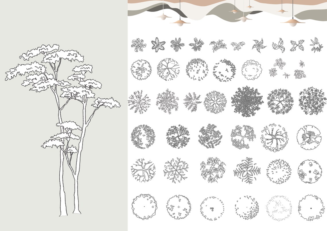 Autocad, DWG - 2D View and Plan 100 Trees, Made Blocks - Etsy