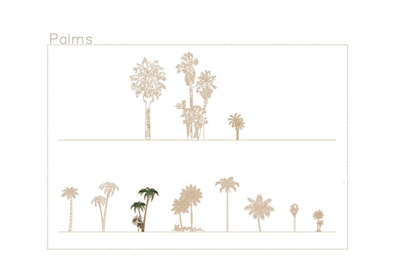 Premium Autocad Palm Trees Library: 20 Design Blocks - Etsy