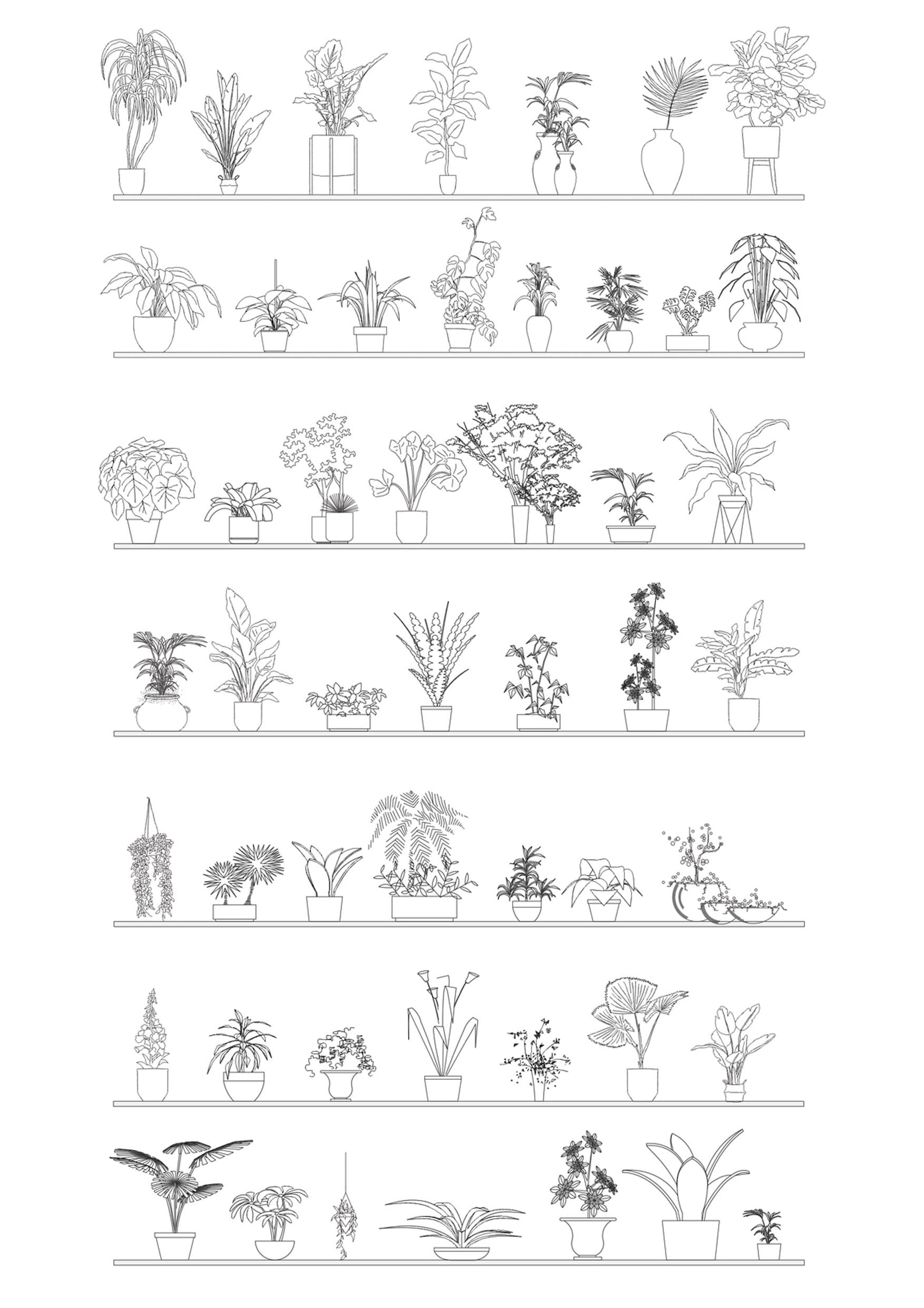 Autocad - 50 Pcs Interior Plants - DWG, 2D View, Made Blocks - Etsy