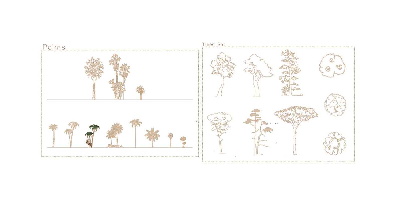 Premium Autocad Palm Trees Library: 20 Design Blocks - Etsy
