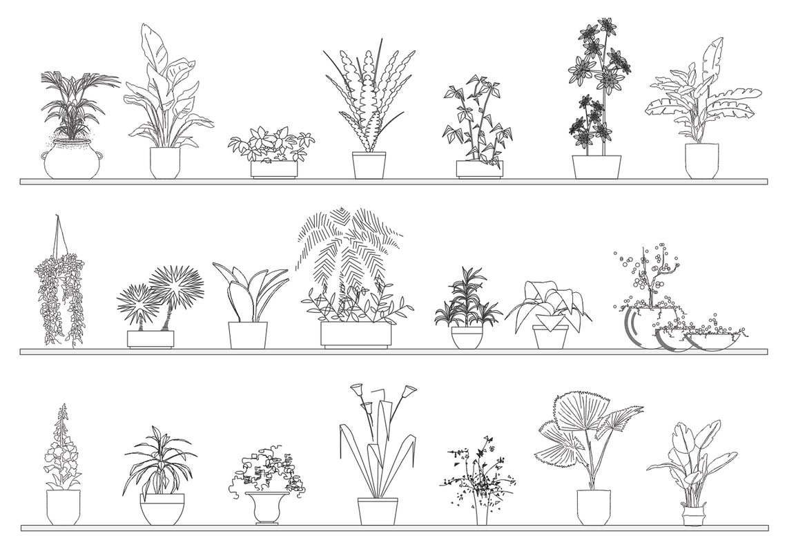 Autocad - 50 Pcs Interior Plants - DWG, 2D View, Made Blocks - Etsy