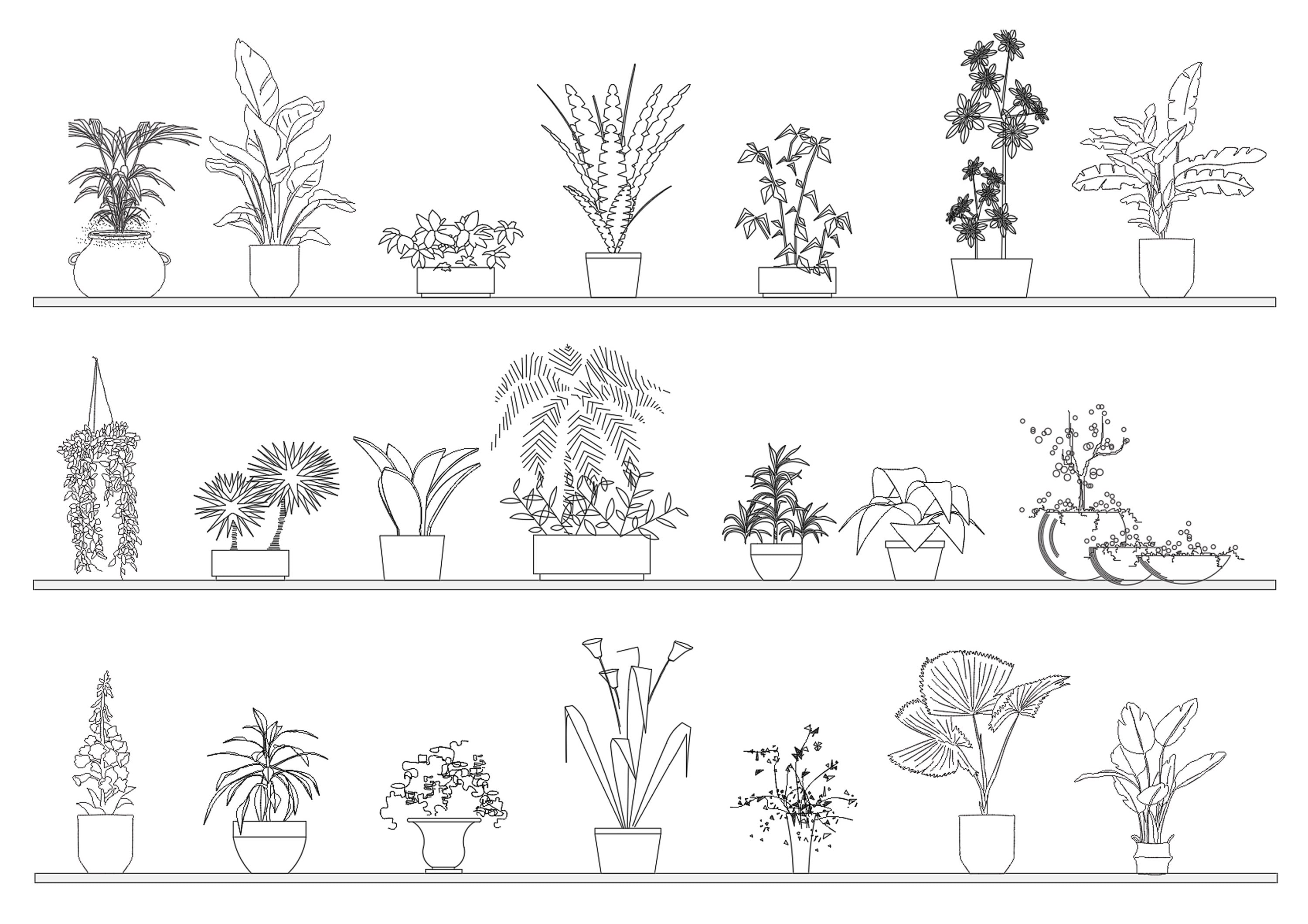 Autocad - 50 Pcs Interior Plants - DWG, 2D View, Made Blocks - Etsy