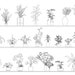 Autocad - 50 Pcs Interior Plants - DWG, 2D View, Made Blocks - Etsy