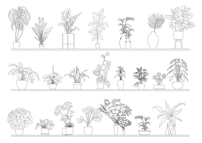 Autocad - 50 Pcs Interior Plants - DWG, 2D View, Made Blocks - Etsy