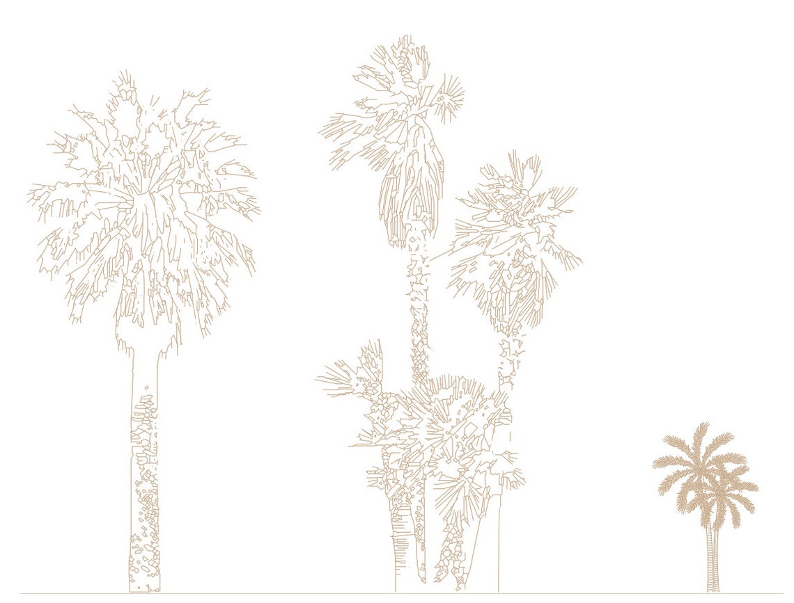 Premium Autocad Palm Trees Library: 20 Design Blocks - Etsy
