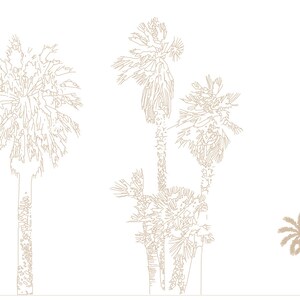 Premium Autocad Palm Trees Library: 20 Design Blocks - Etsy
