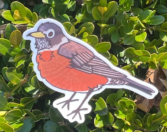 American Robin Sticker - Etsy