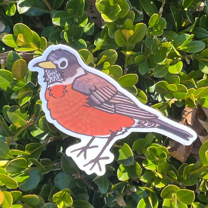 Robin Decal - Etsy