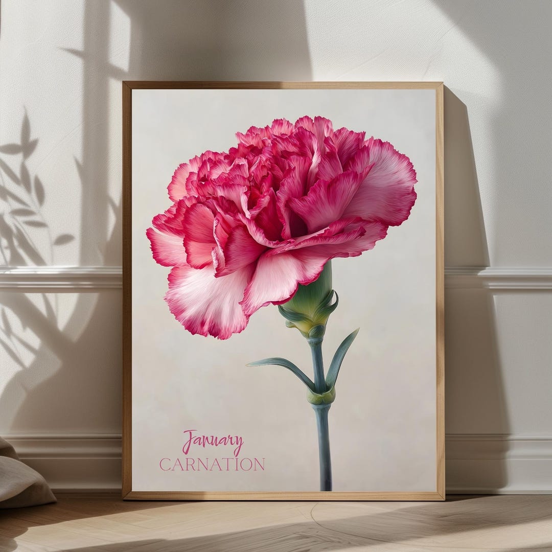 January Birth Flower Carnation Print, Elegant Botanical Art (digital ...