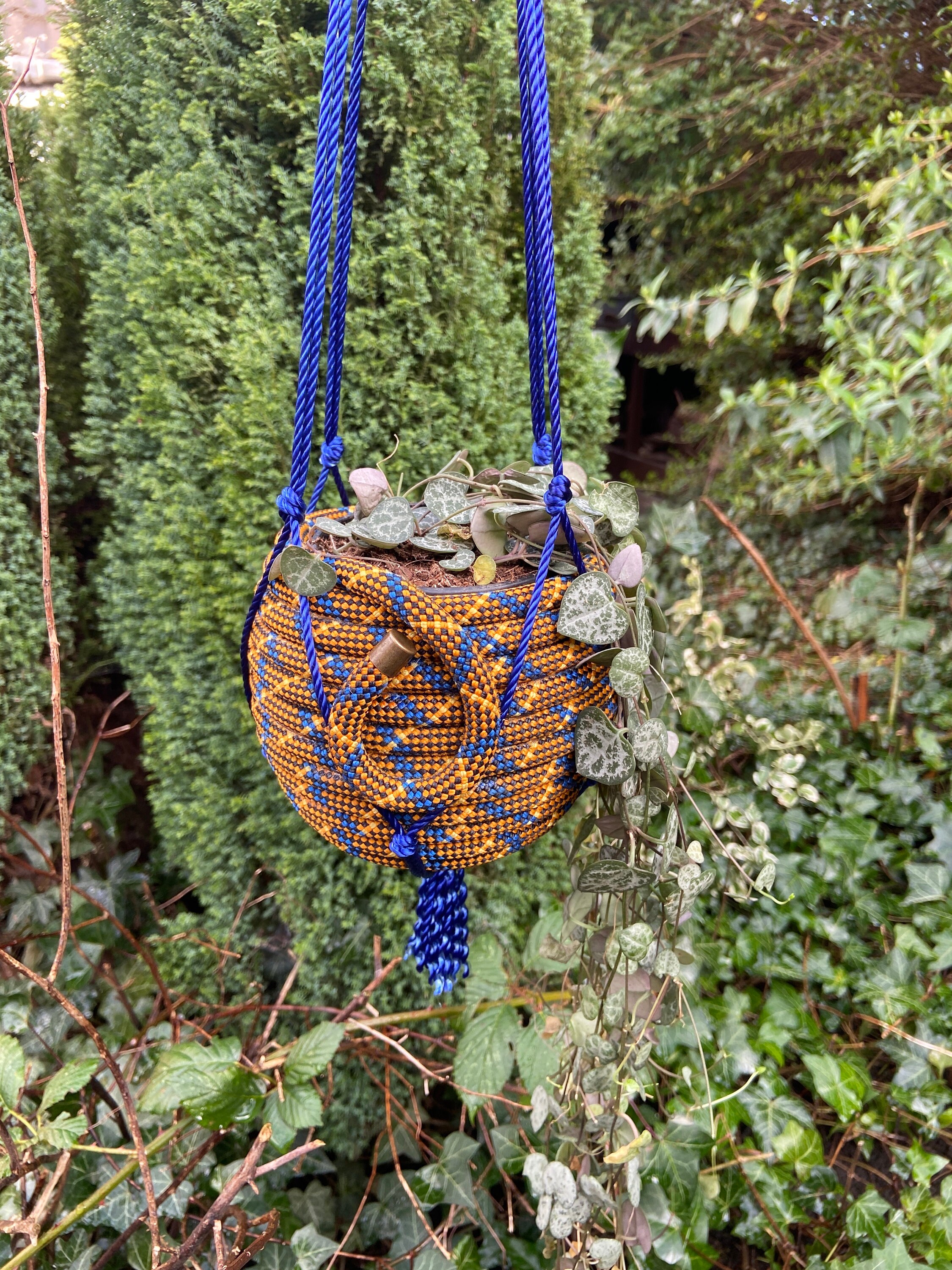 Climbing Rope Pot/hanging Planter - Etsy