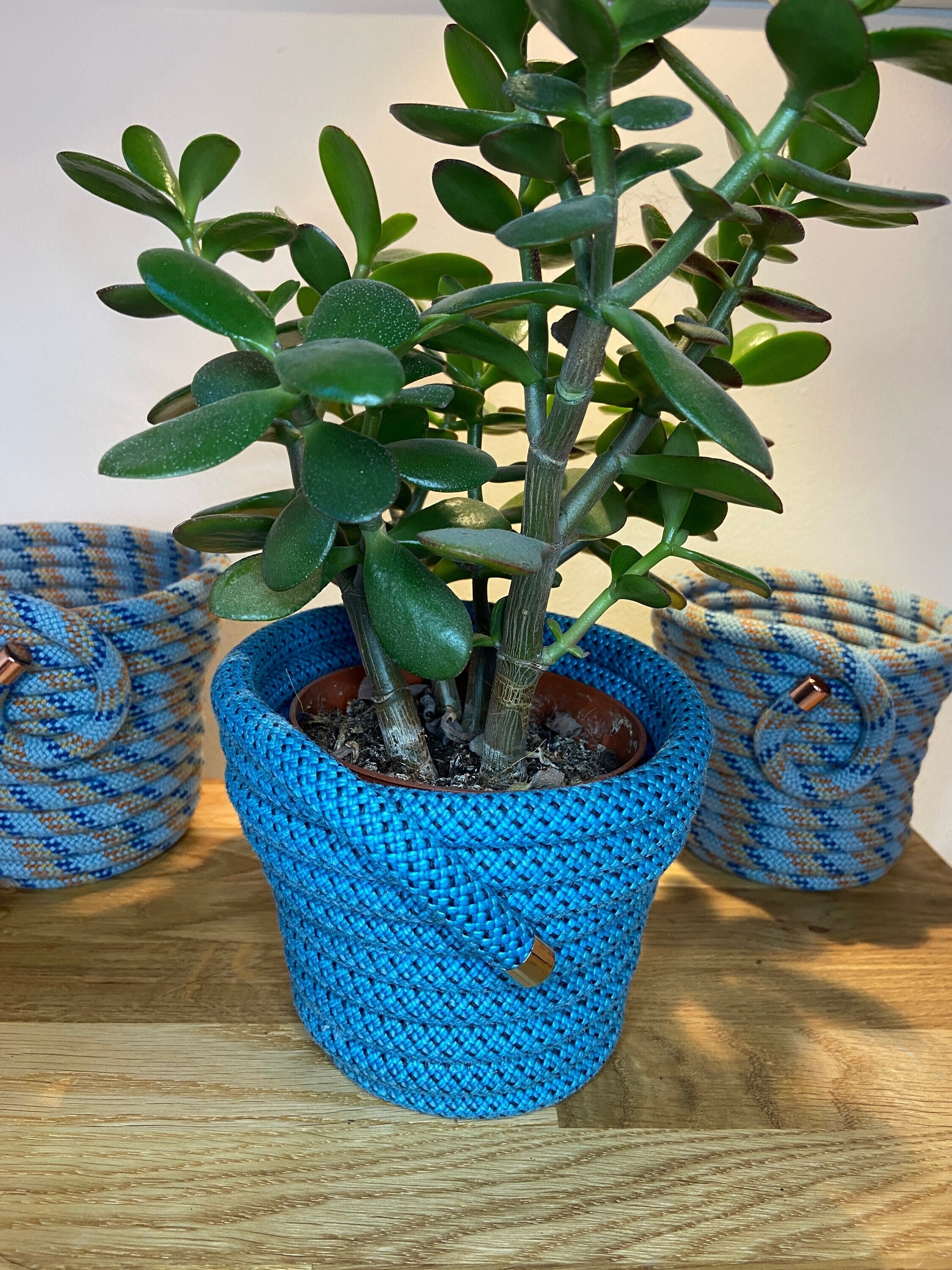 Climbing Rope Planter Medium - Etsy