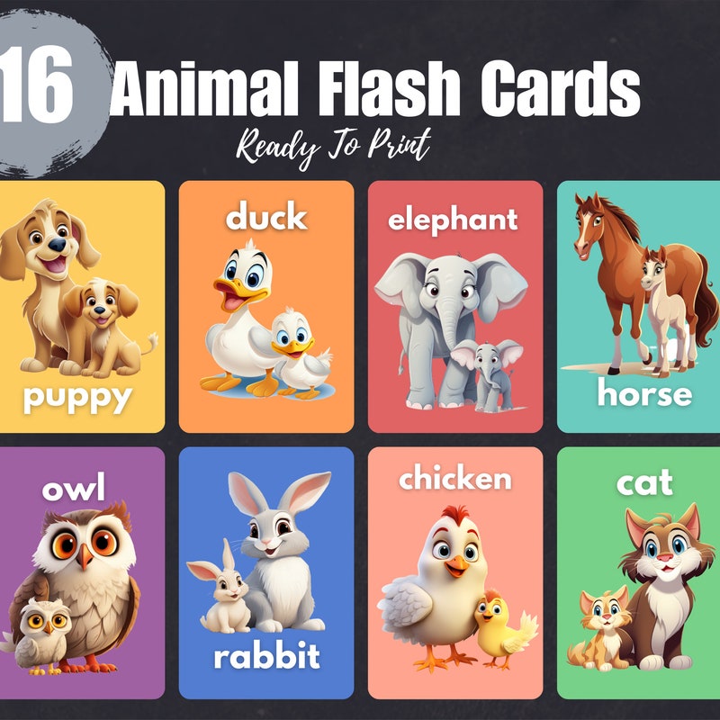 Animal Flash Cards - Etsy
