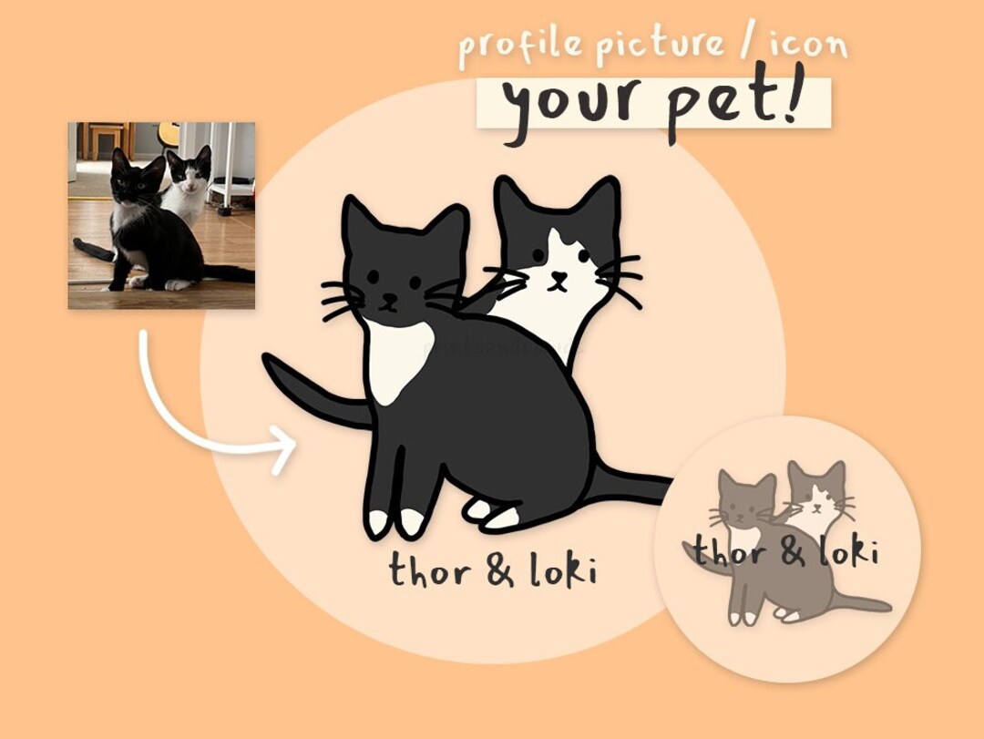 Custom Pet Profile Picture Cartoon Icon Cute Cat Drawing Pfp Dog ...