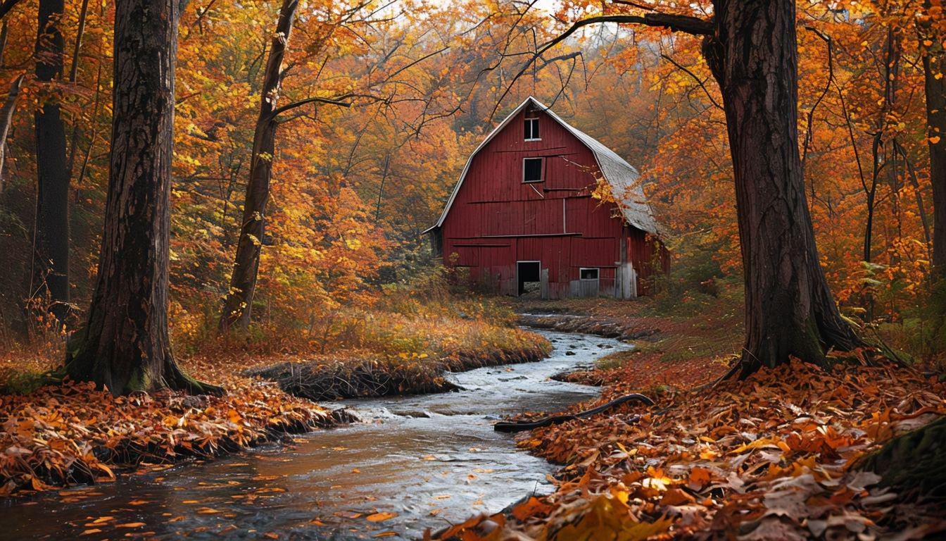 Fall Digital Download, Fall, Screensaver, Wallpaper, TV Screensaver ...