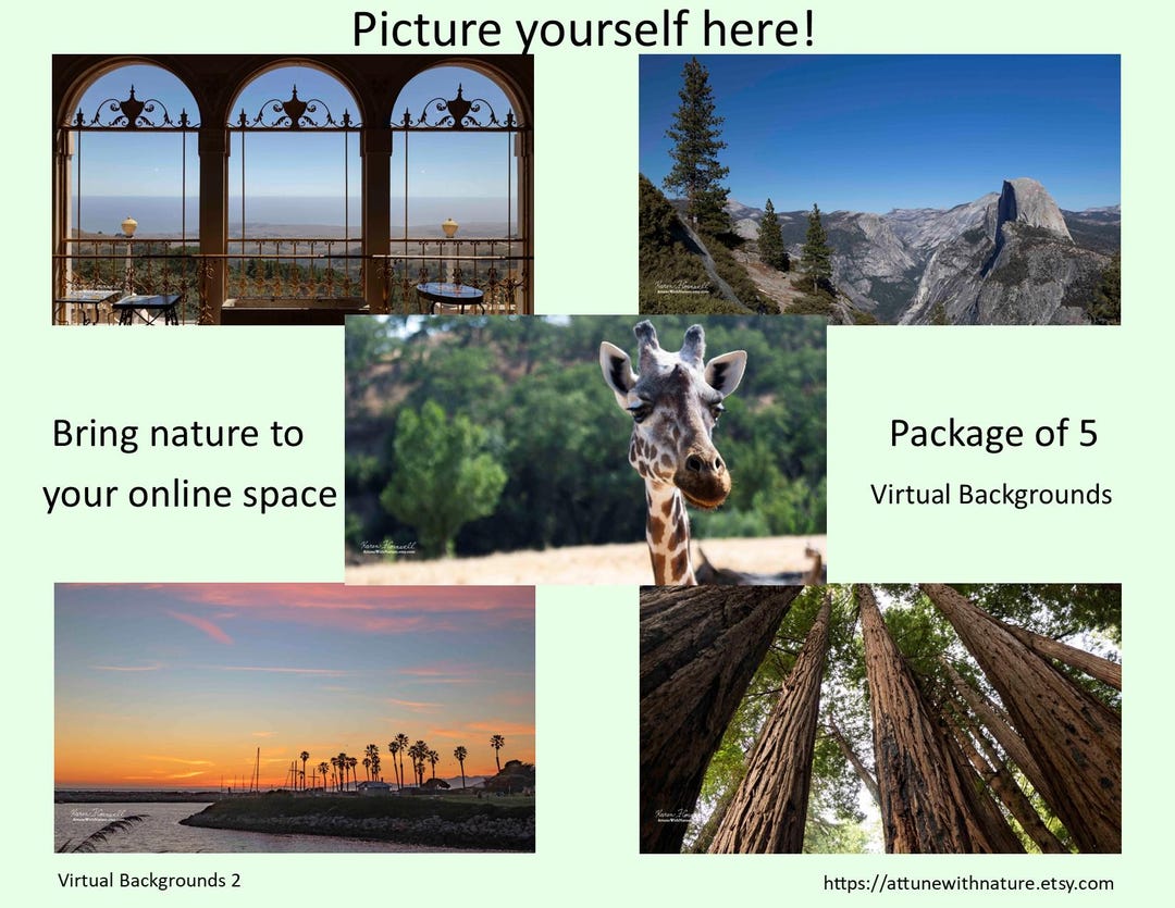 2 - Virtual Background - Etsy