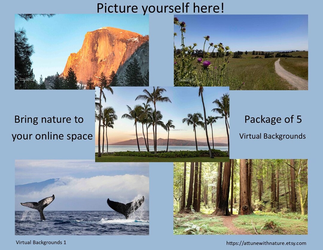 1 - Virtual Background - Etsy