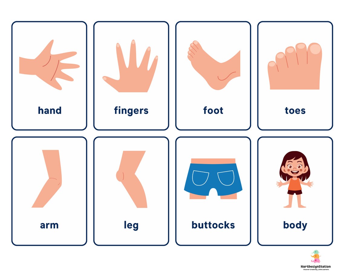Printable Body Parts Flashcards Montessori & Pre-school - Etsy