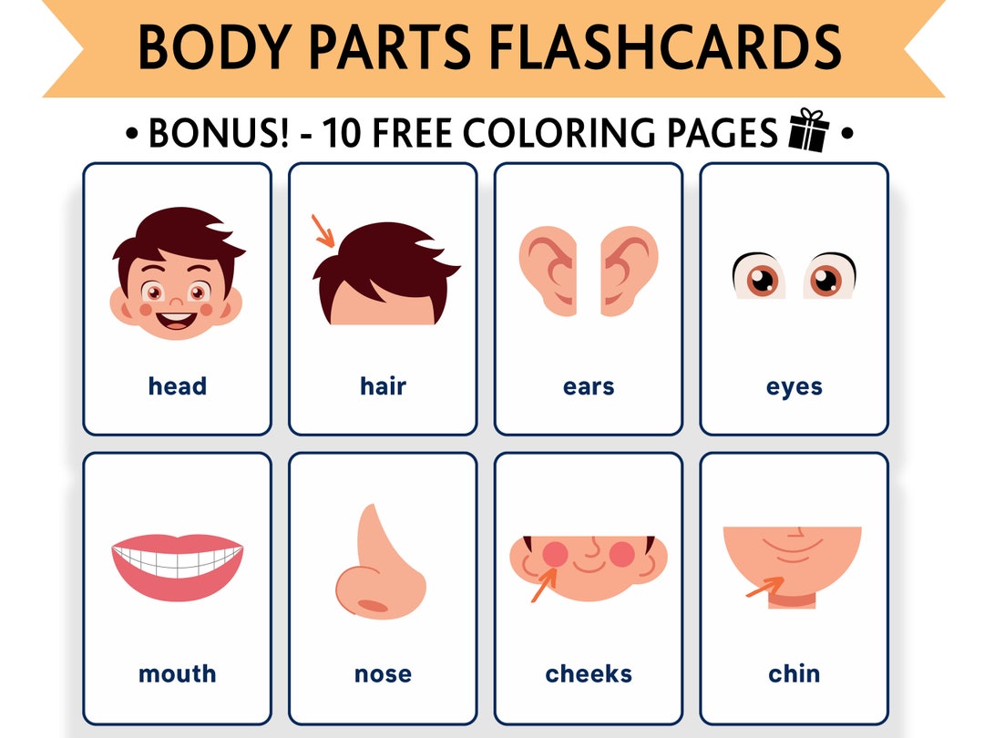 Free Printable Body Parts Flashcards For Babies at Lois Horning blog