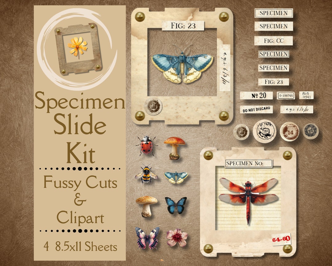 Insect Specimen Slide Kit for Junk Journals. Digital Paper of Plant ...