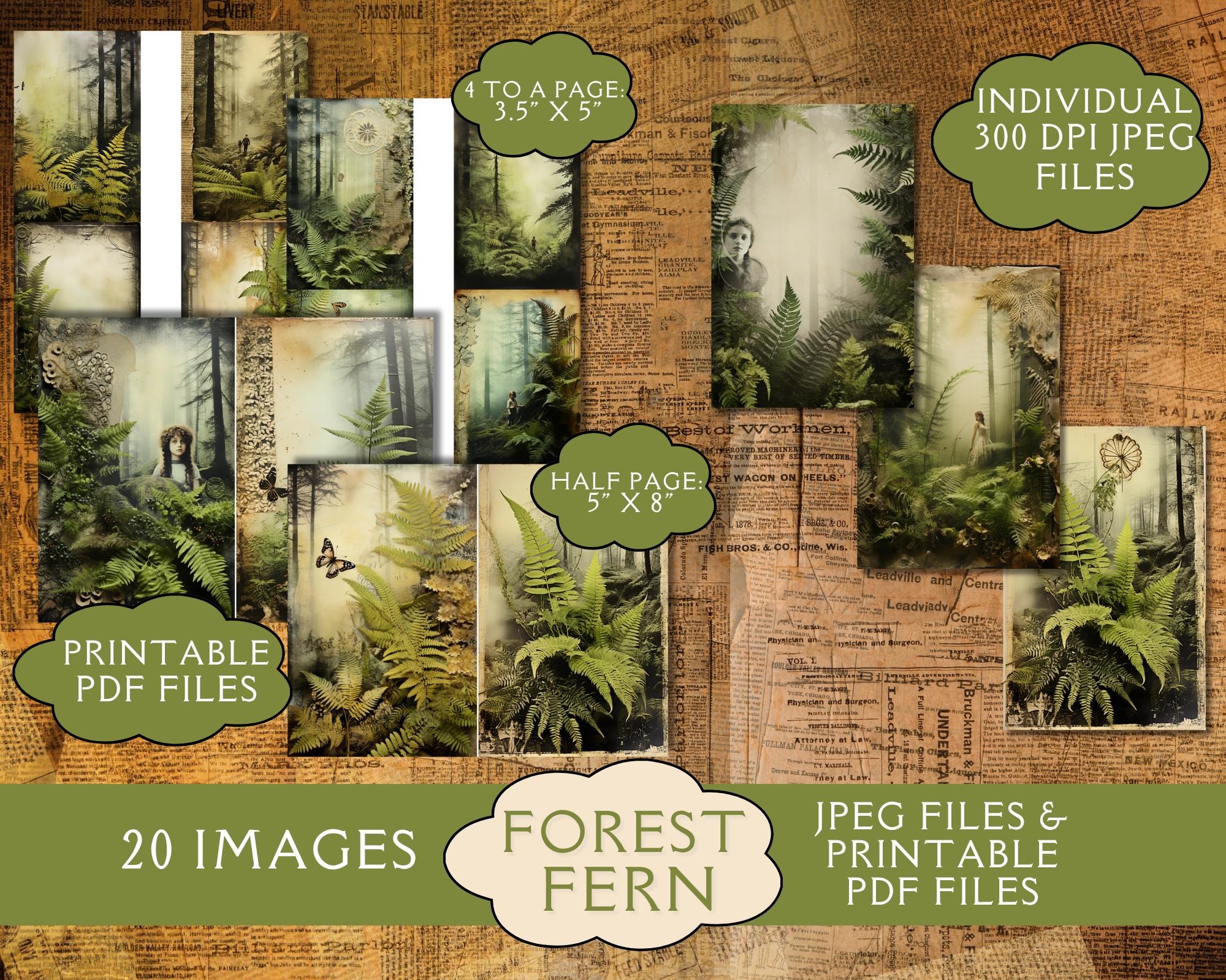 Primitive Forest Fern Junk Journal Paper. Digital Paper of Forest ...