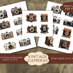 Vintage Camera Fussy Cuts for Junk Journals. Digital Paper of Steampunk ...