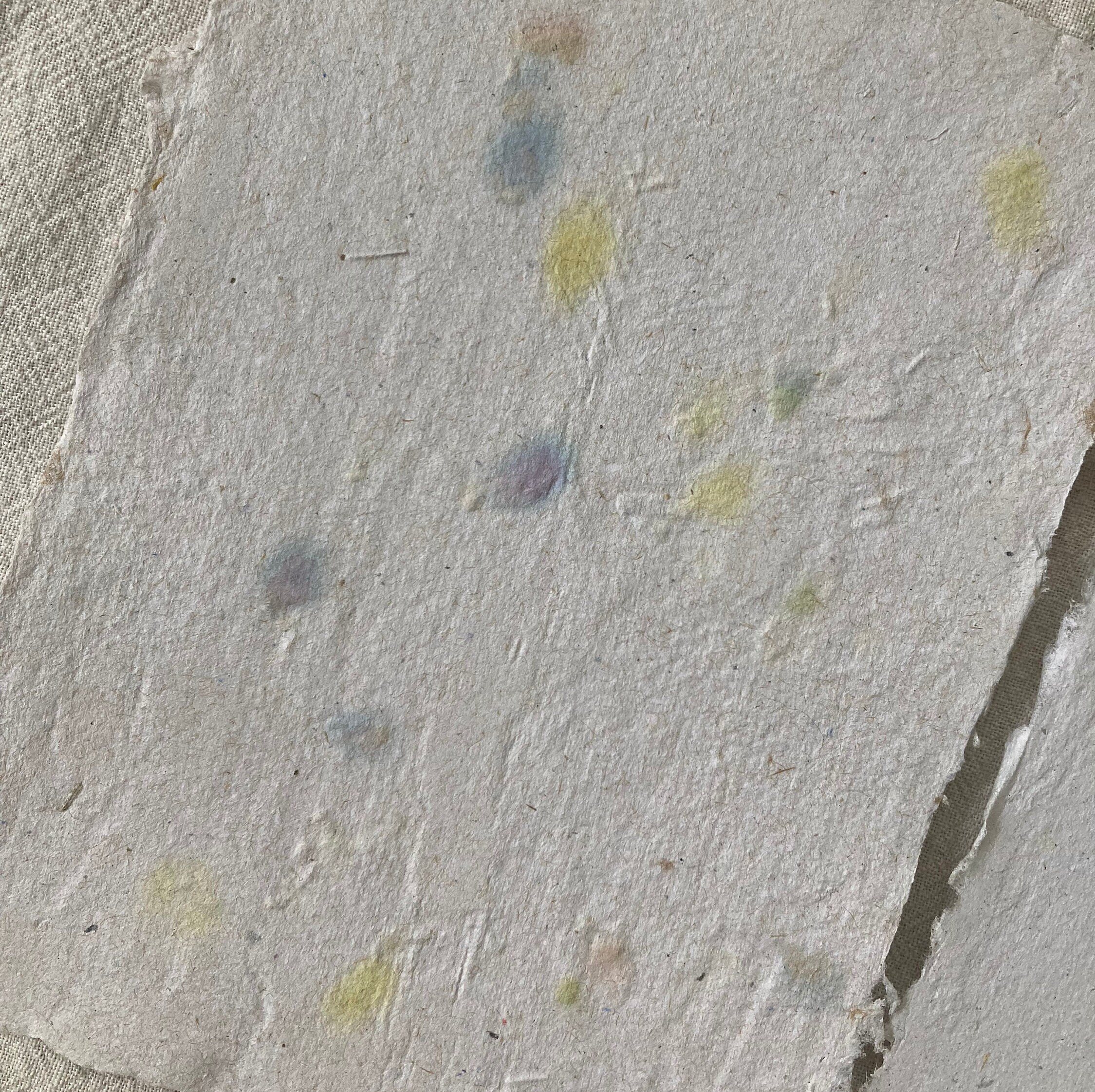 Handmade Paper, Recycled Paper, Homemade Paper, Dried Flower Paper ...