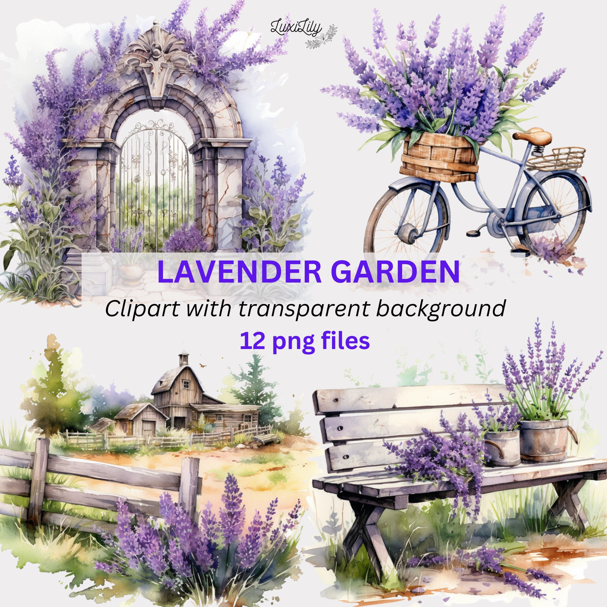 Watercolor Lavender Garden Clipart Bundle Provence Floral - Etsy