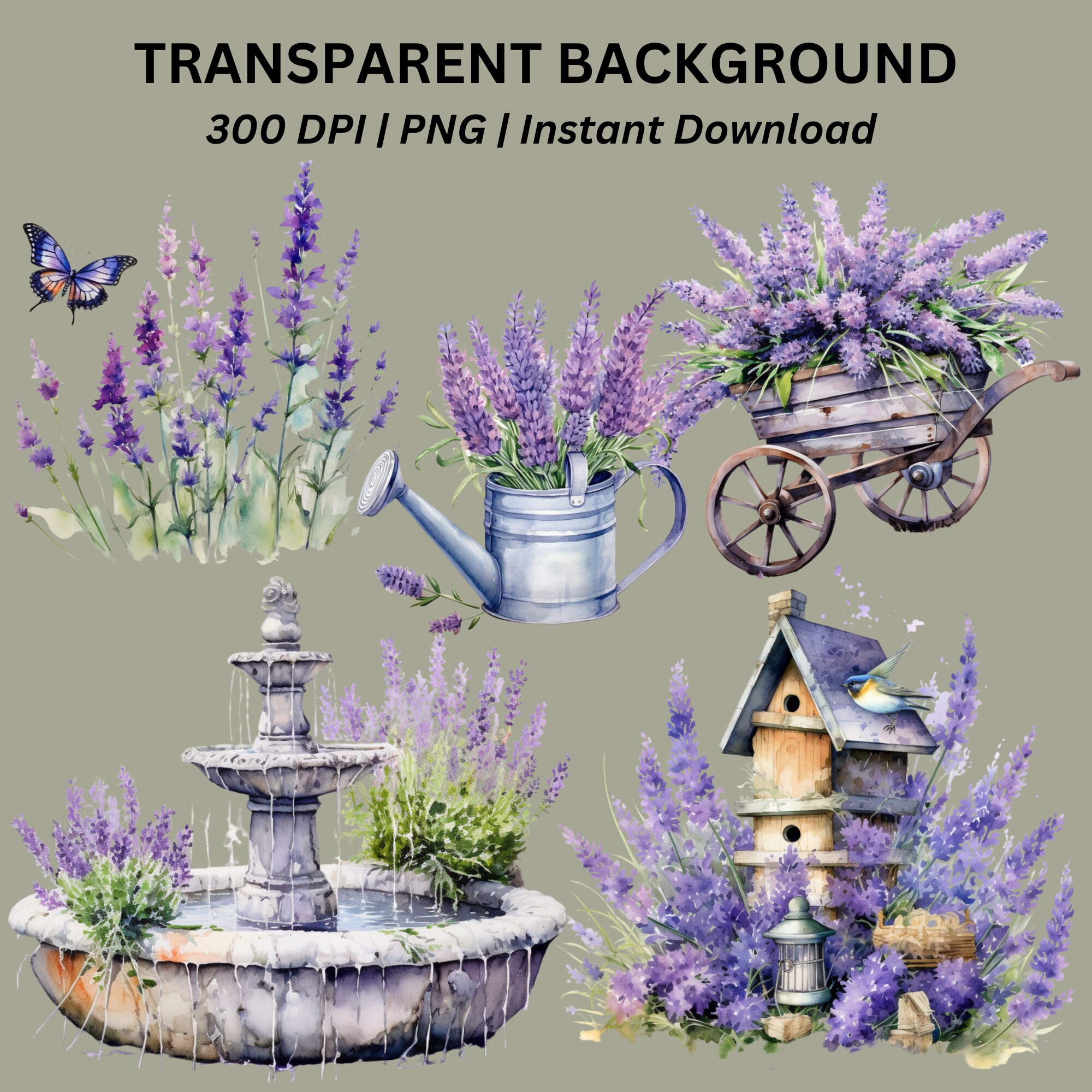 Watercolor Lavender Garden Clipart Bundle Provence Floral - Etsy