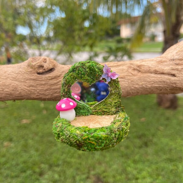 Jumping Spider Enclosure - Etsy