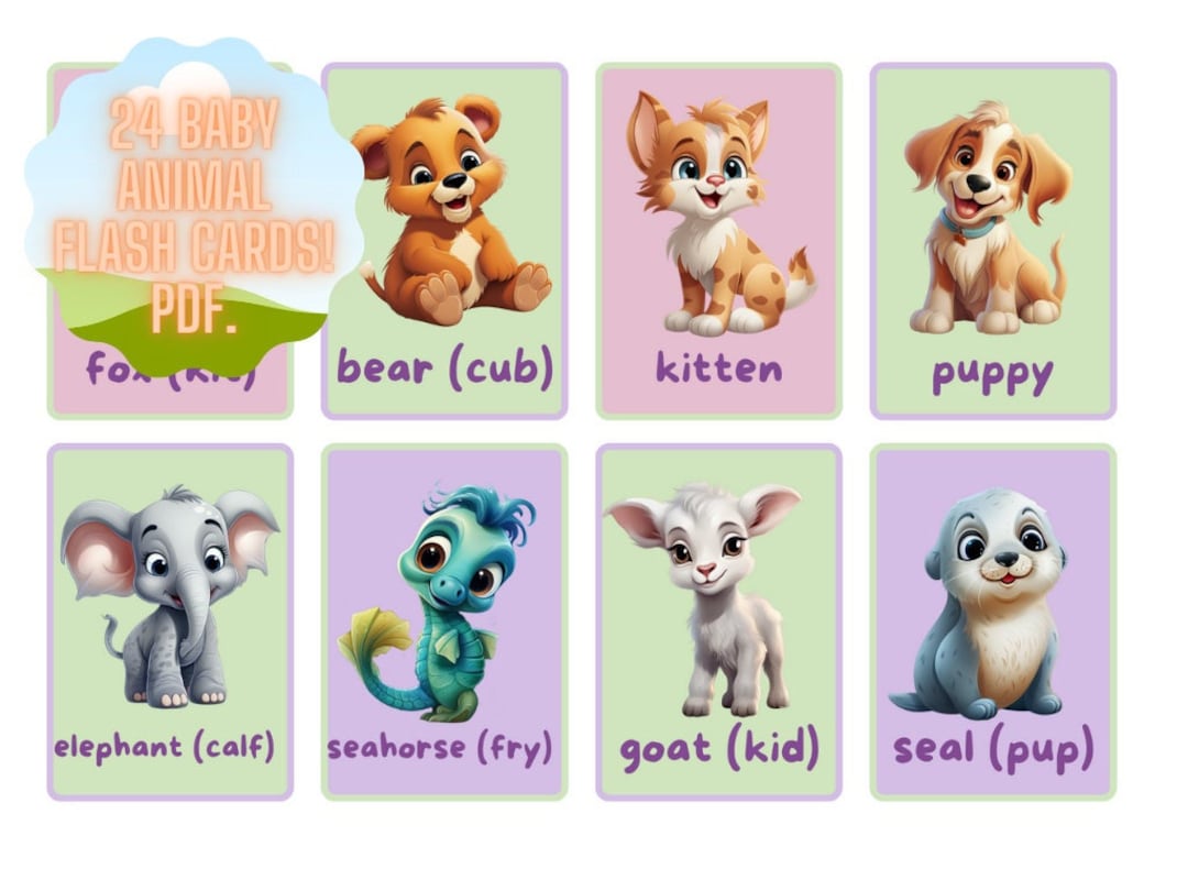 Printable Animal Name Flashcards Including FREE Alphabet - Etsy
