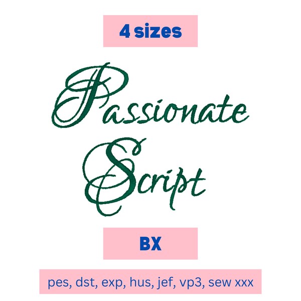 Script Embroidery Fonts Bx - Etsy