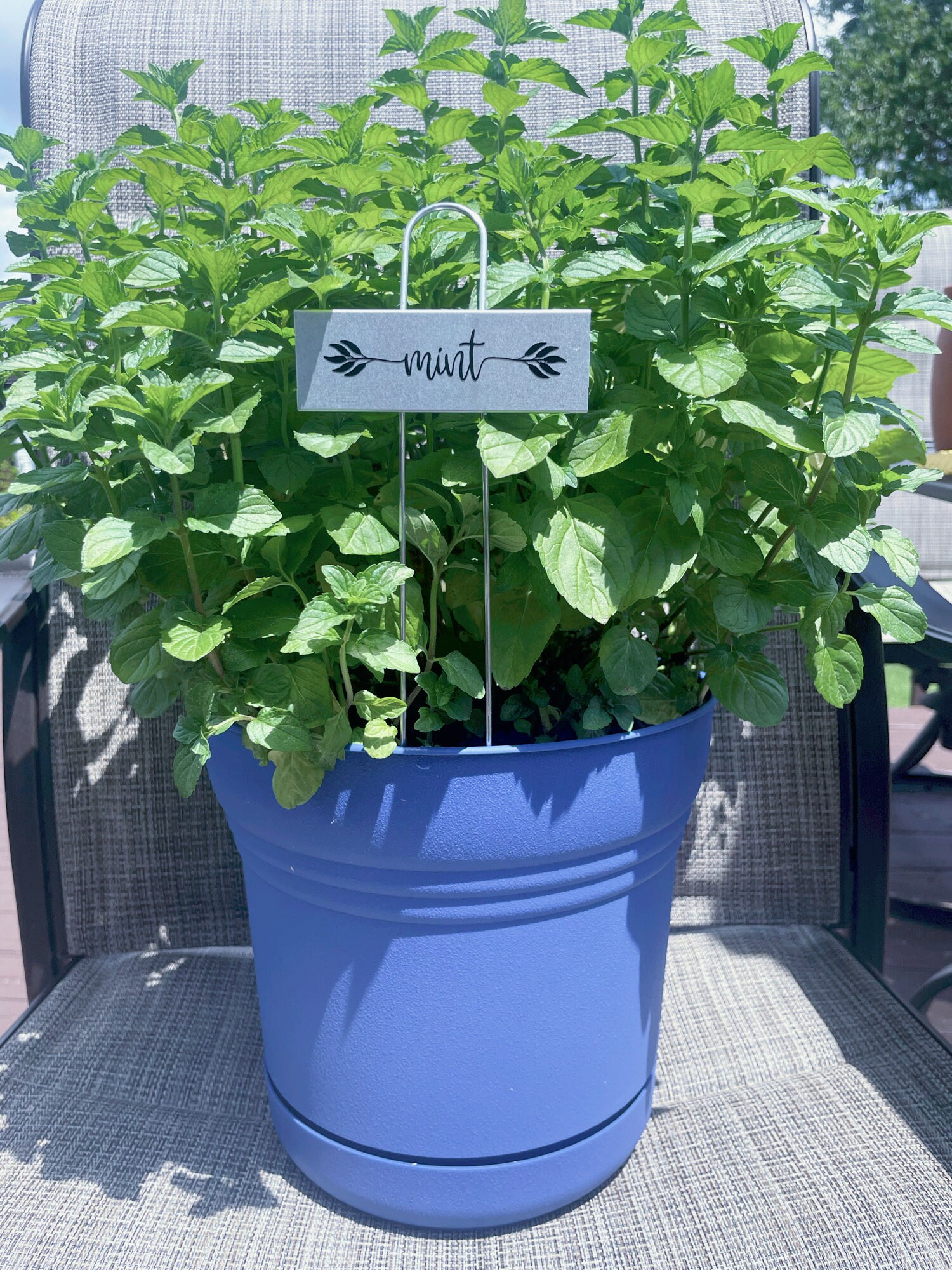 Plant Labels, Herb Labels, Garden Plant Labels, Metal Plant Labels ...