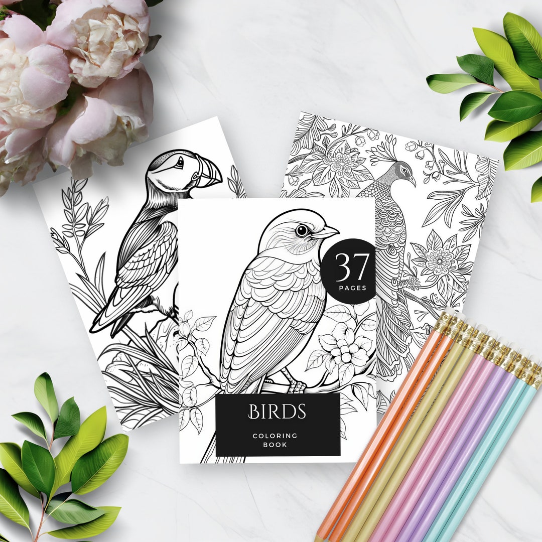 BIRDS COLORING BOOK - Mindful Meditation - Etsy