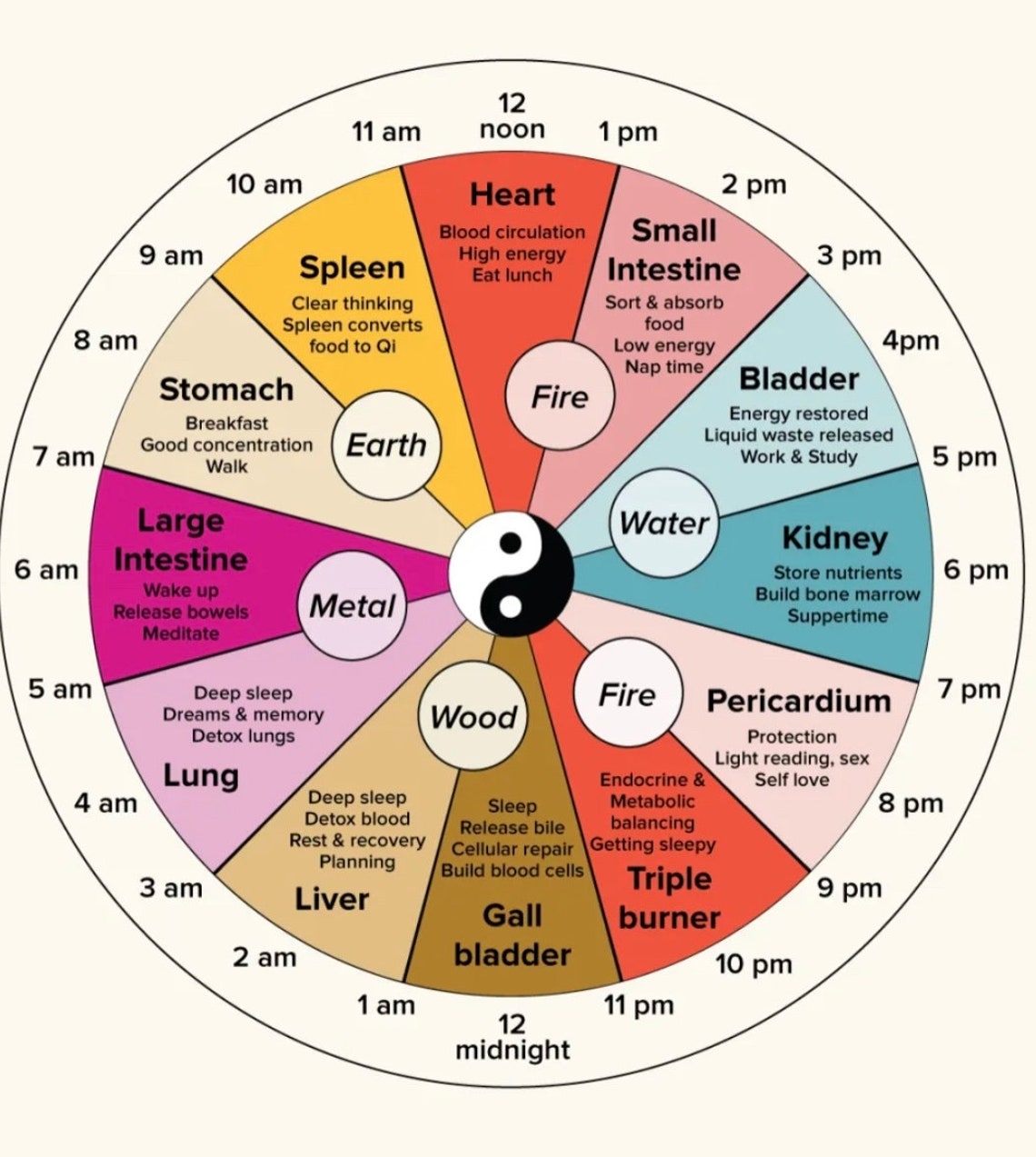 Digital Body Chart. Inspirational Wall Art Print. Chinese Medicine ...