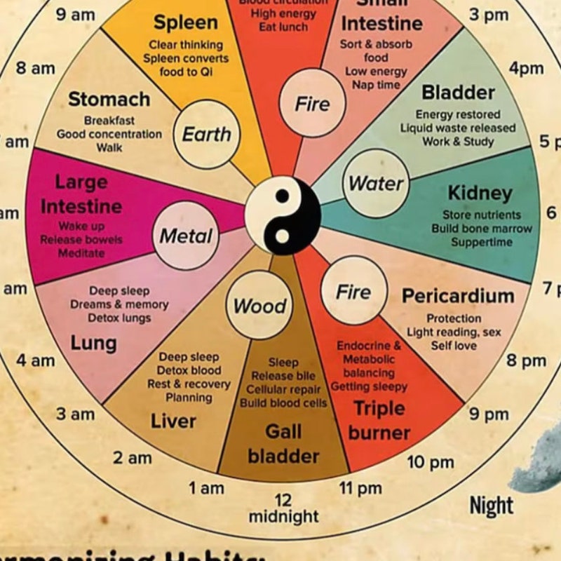 Chinese Medicine - Etsy