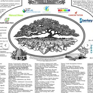 The Healing Web Chart (worldwide) 2 Page Digital Printable - Etsy UK